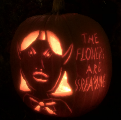 The Corollary Zone - The Flowers are Screaming